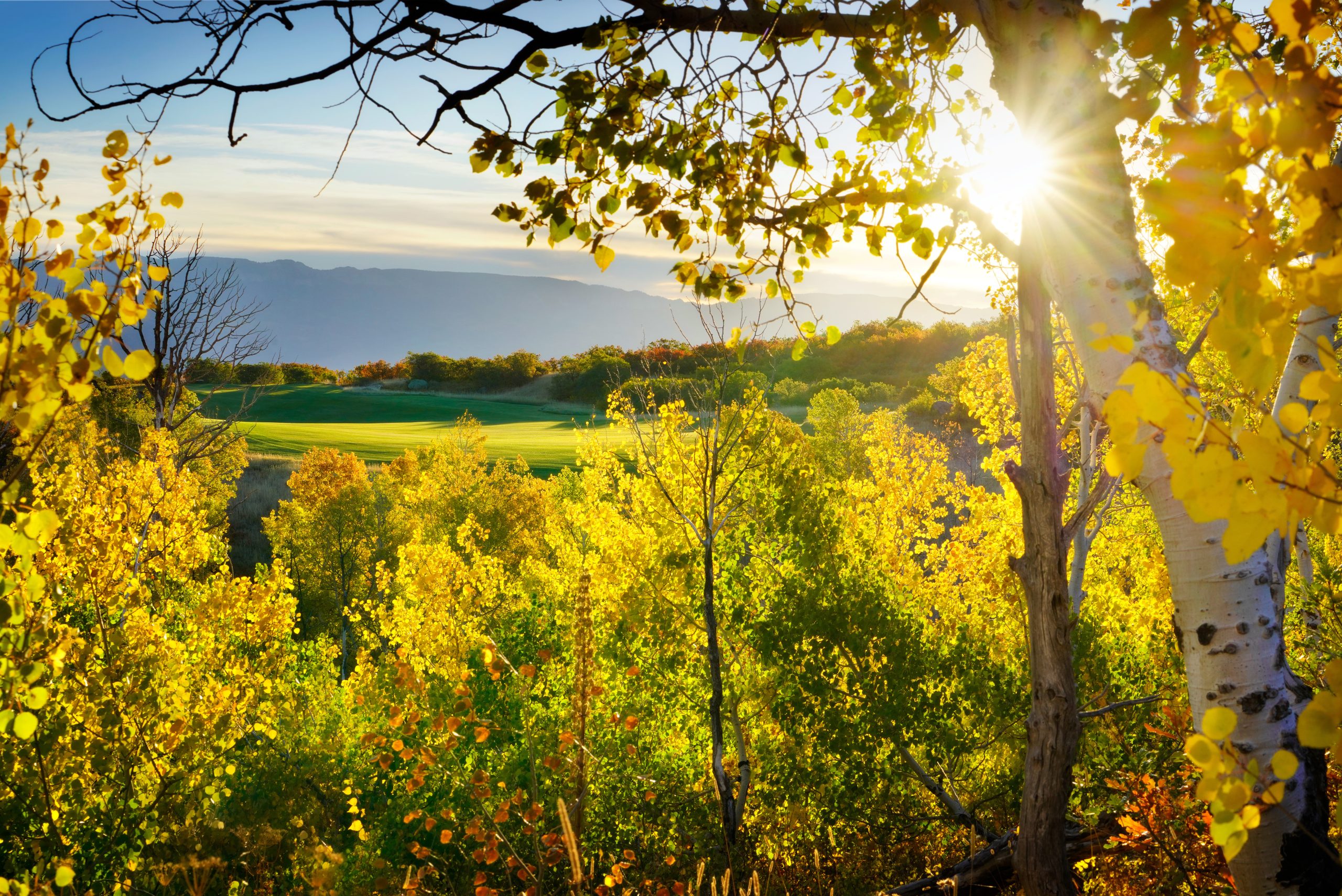 Membership - Cornerstone Club