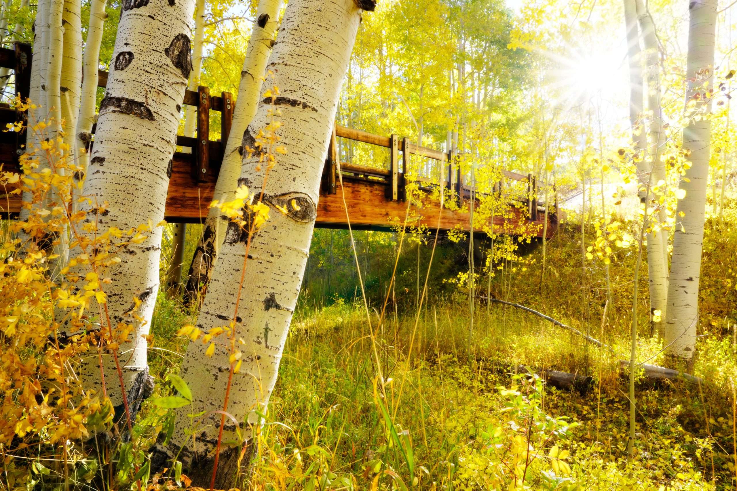 Experiences - Cornerstone Club