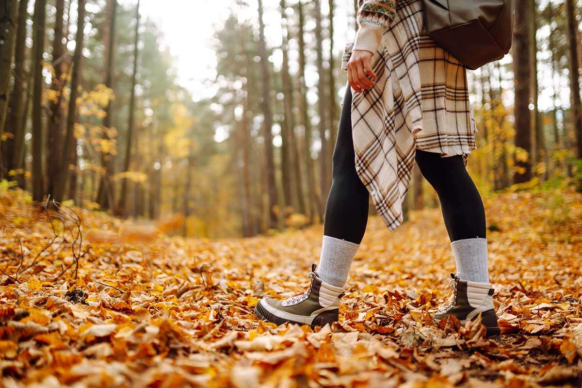 Experiences - Cornerstone Club